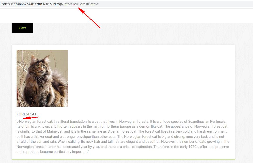 CTF中Python_Flask应用的一些解题方法总结 | Savant's Blog